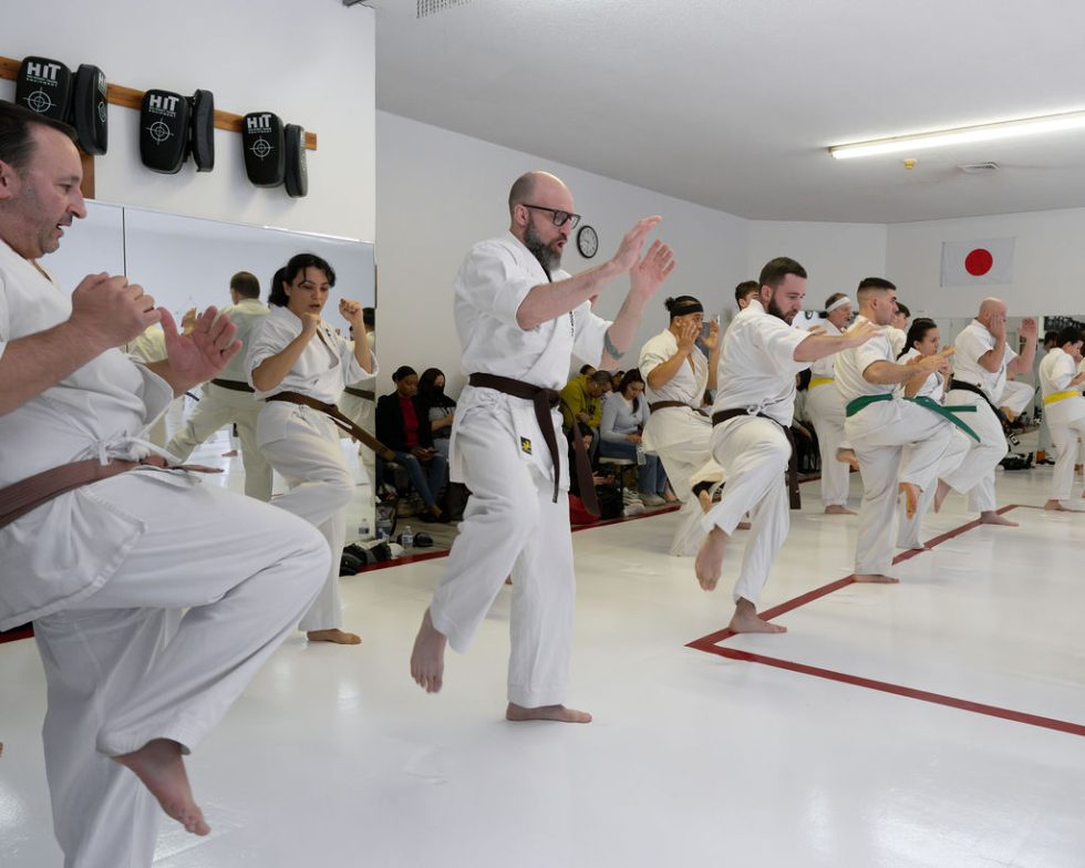 Karate Katas Explained: Everything You Need to Know