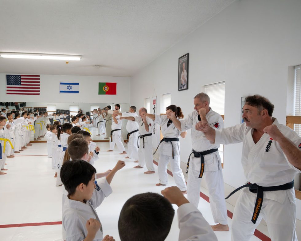Karate Katas Explained: Everything You Need to Know