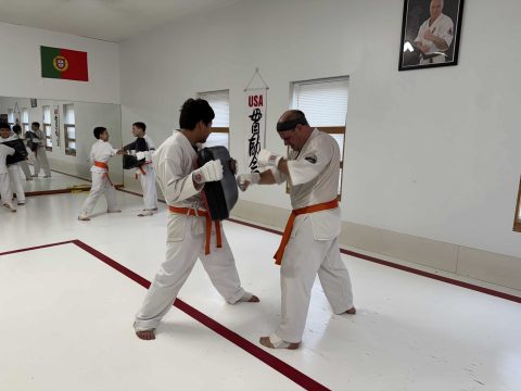How to Choose a Good Karate School or Dojo | Avoid McDojo